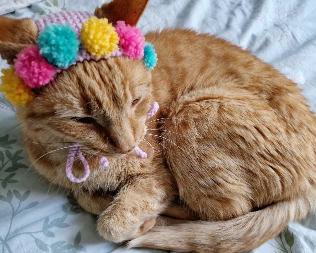 Pastel Mini Pompom Cat Hat, Rainbow Pet Bonnet, Crown for Cats, Mini ...
