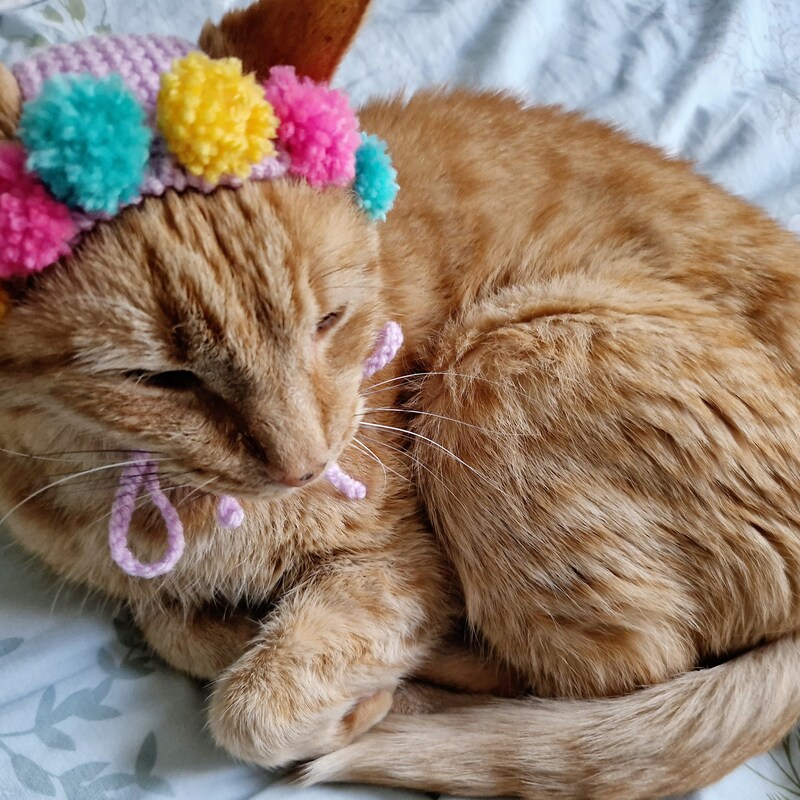 Cat Crown - Etsy