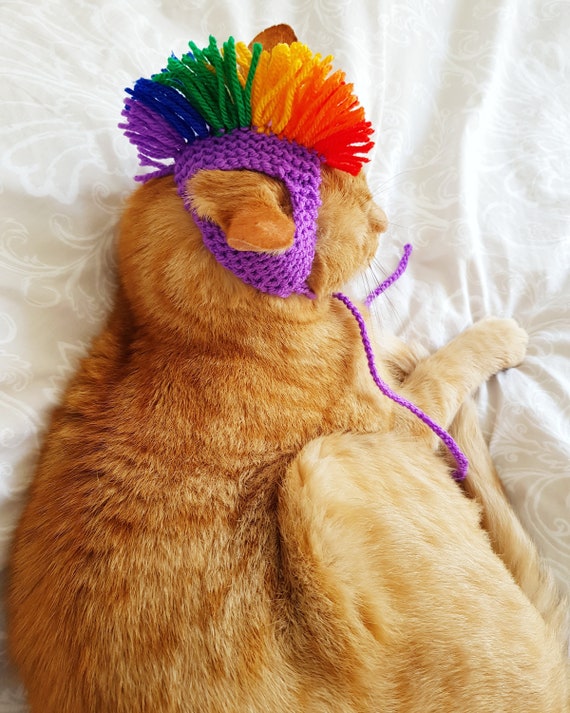 Rainbow Mohican Cat Hat Multi Coloured Mohawk Hat for Cats - Etsy