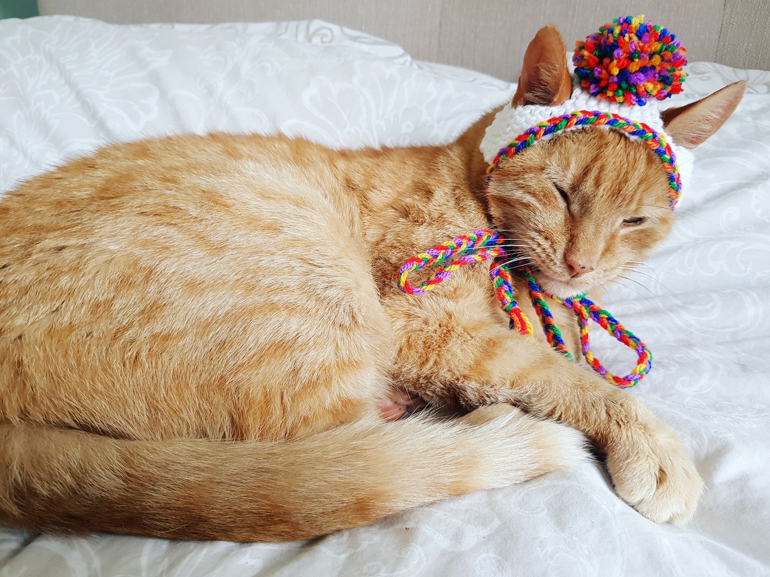 Rainbow Pompom Cat Hat Multi-coloured Bobble Hat for Cats | Etsy