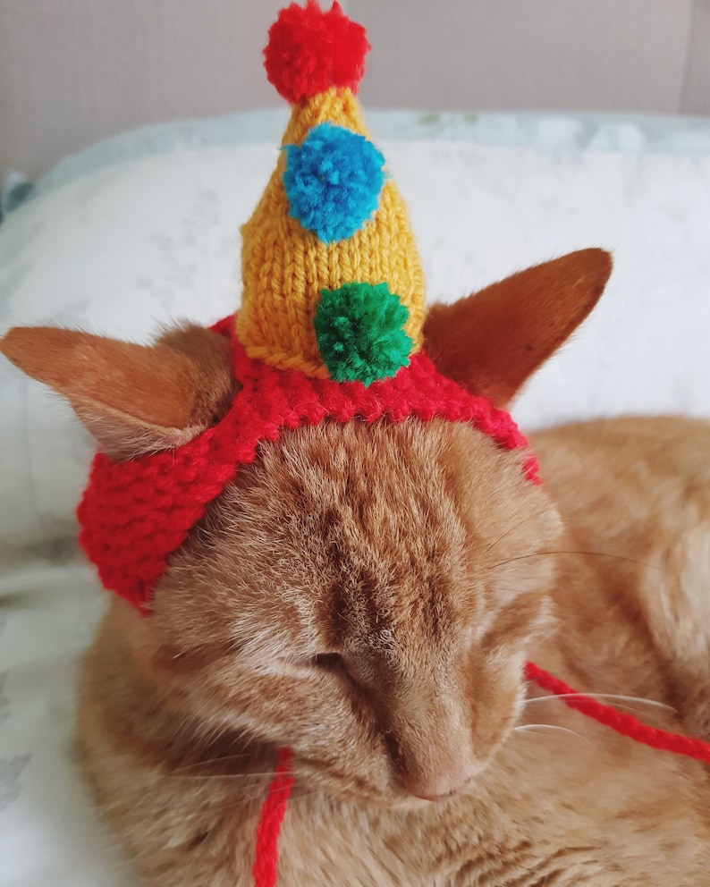 Clown Cat Hat Pet Accessories Clown Costume Novelty Hat - Etsy