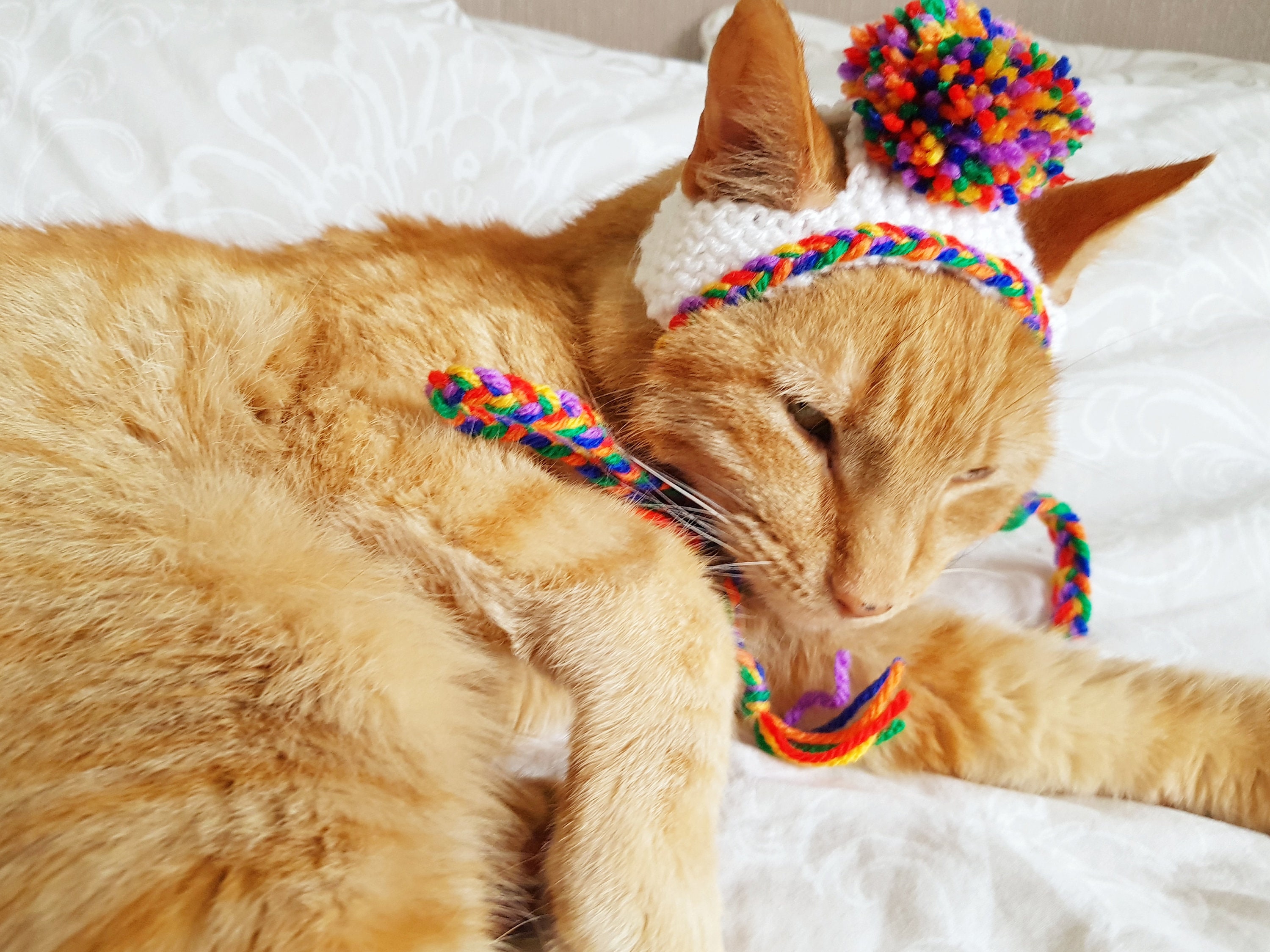 Rainbow Pompom Cat Hat Multi-coloured Bobble Hat for Cats | Etsy