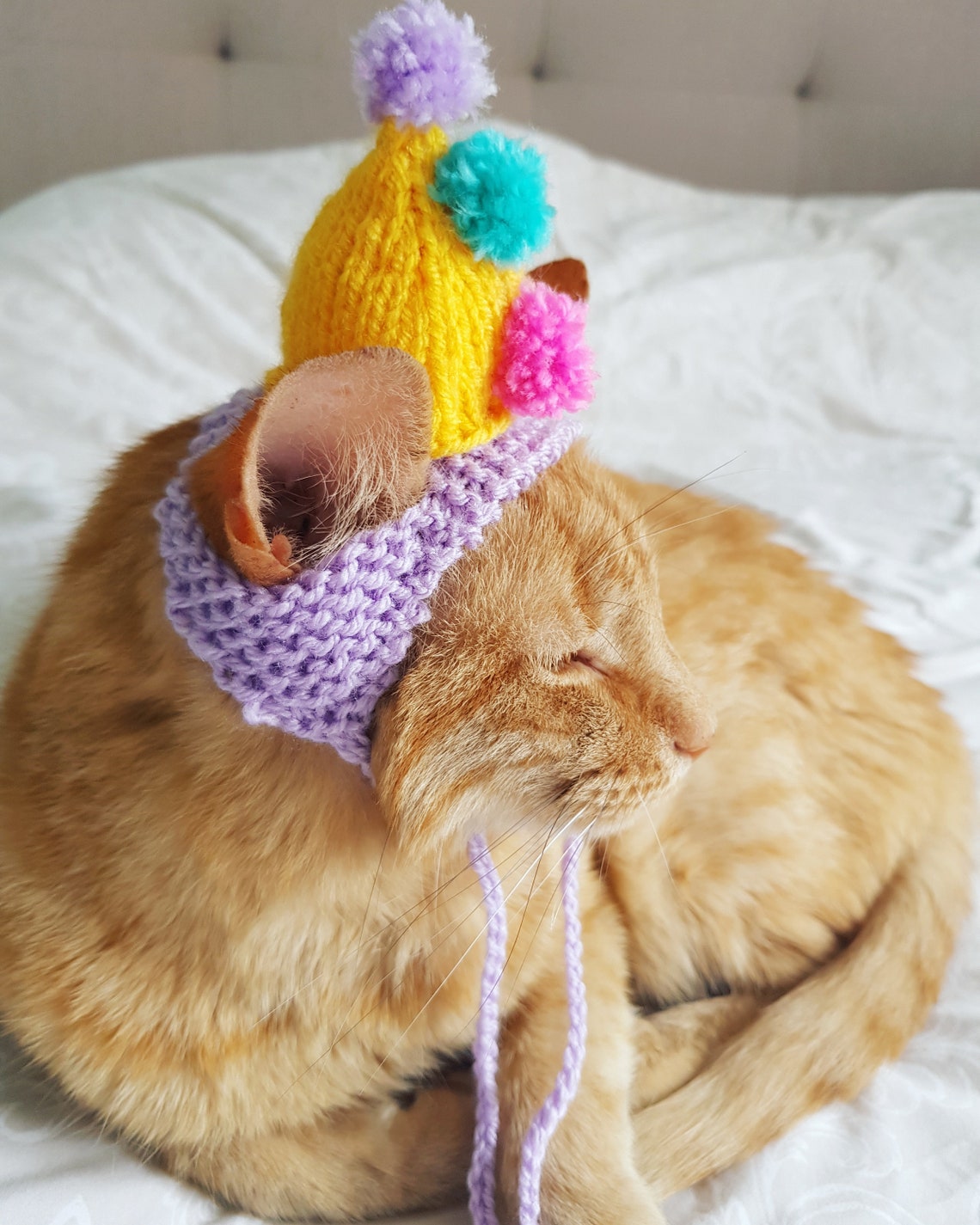 Party Cat Hat Birthday Hat for Cats Celebration Pompom Hat | Etsy