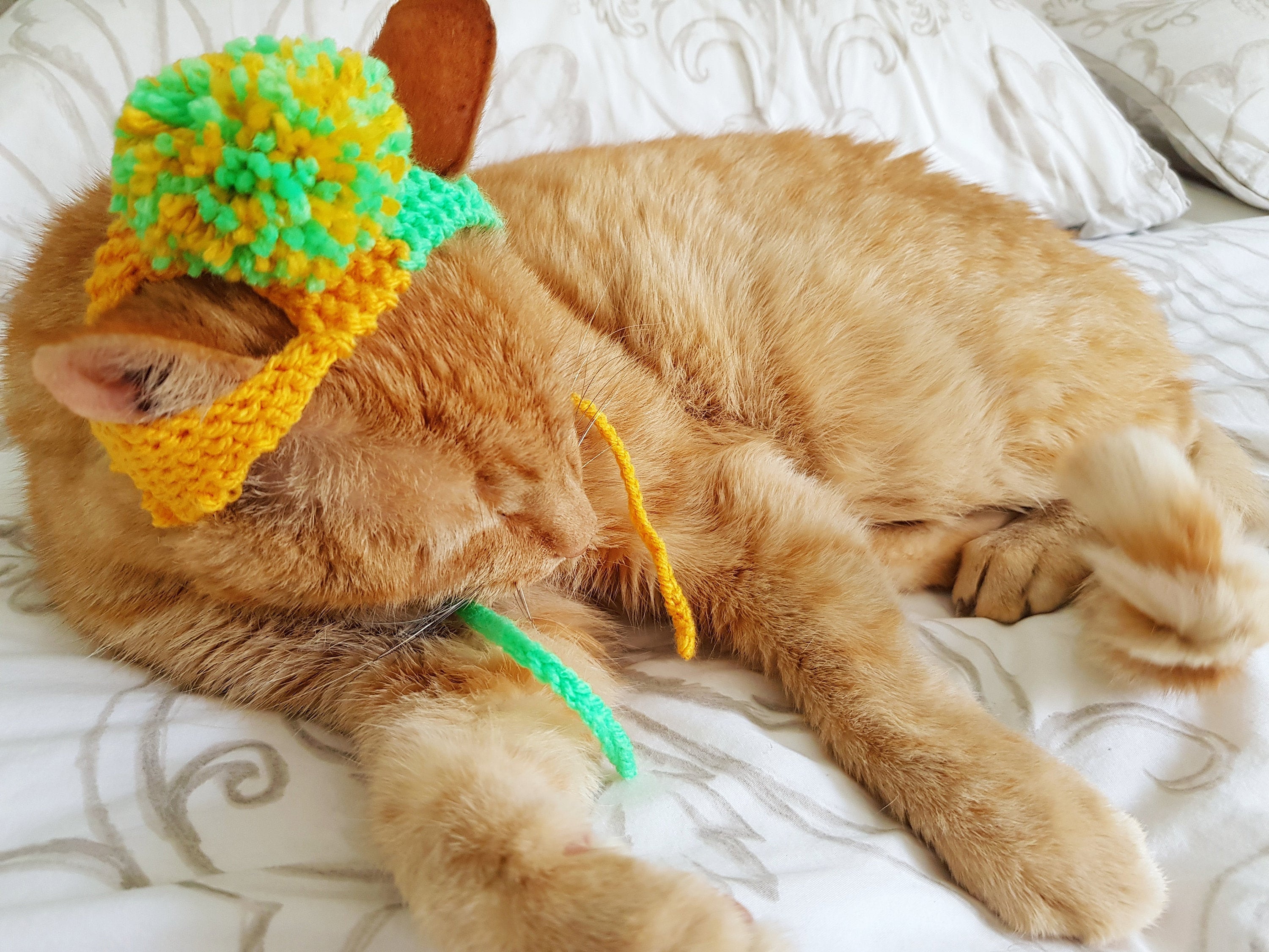 Lime and Yellow Pompom Cat Hat Bobble Hat for Cats Pet | Etsy