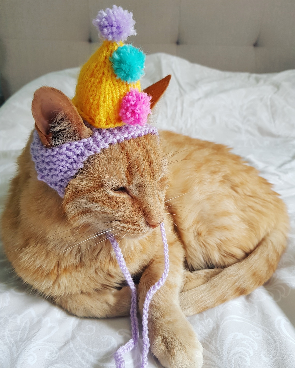 Party Cat Hat Birthday Hat for Cats Celebration Pompom Hat - Etsy UK