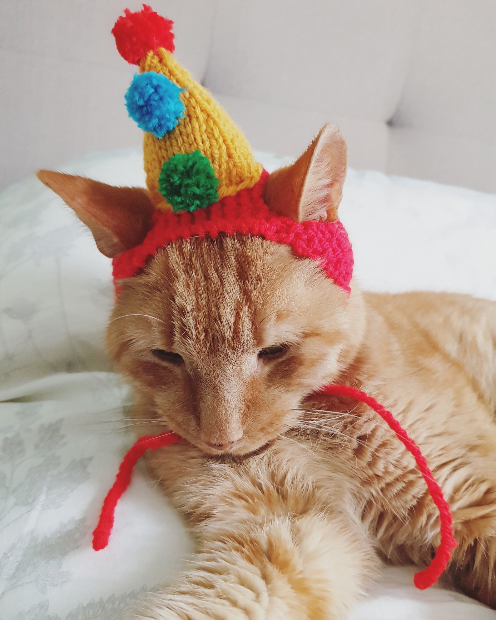 Clown Cat Hat Pet Accessories Clown Costume Novelty Hat - Etsy