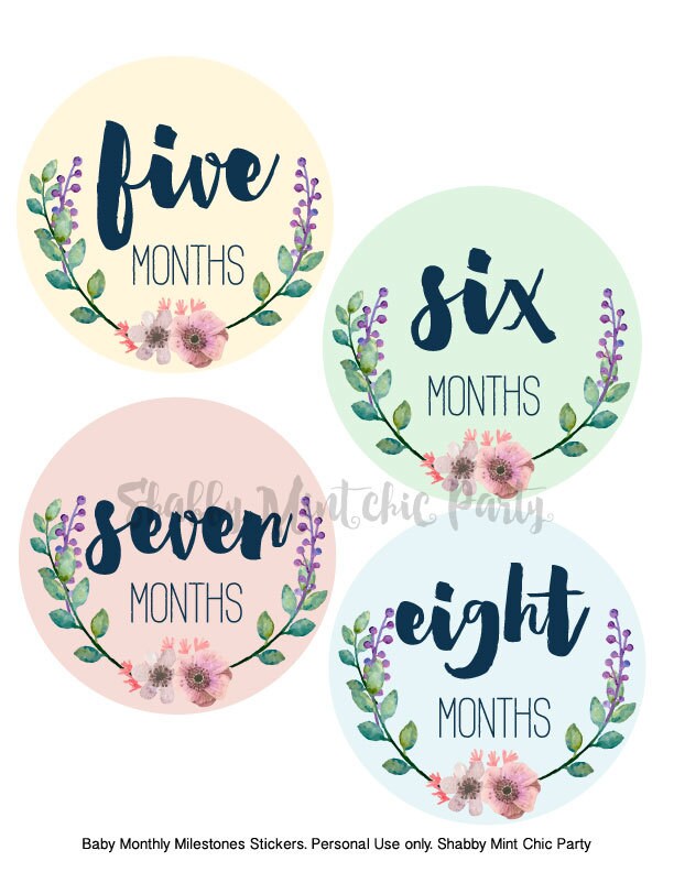 PRINTABLE Baby Monthly Stickers. Monthly Milestone Stickers. Baby ...