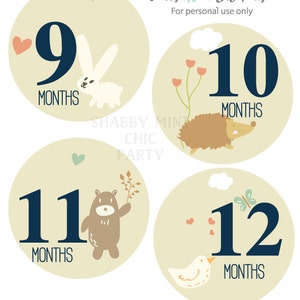 PRINTABLE Baby Monthly Stickers. Iron-on Transfer. Animal Monthly ...