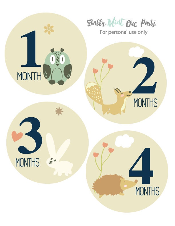 PRINTABLE Baby Monthly Stickers. Iron-on Transfer. Animal Monthly ...