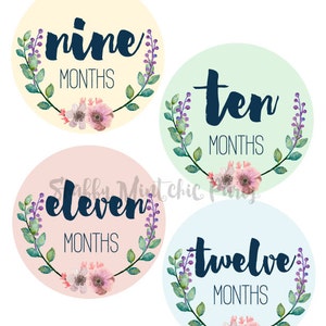 PRINTABLE Baby Monthly Stickers. Monthly Milestone Stickers. Baby ...