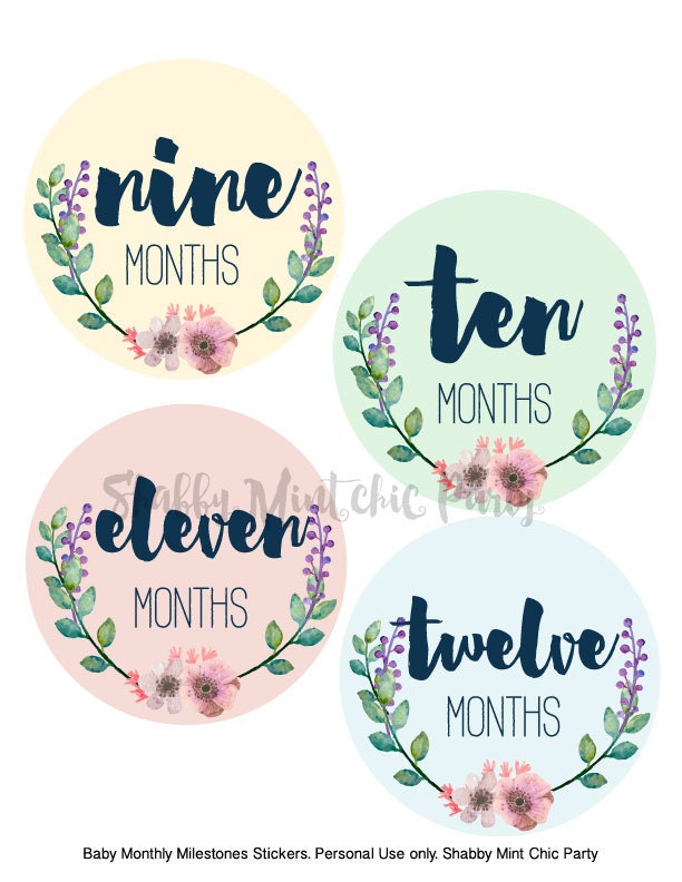 PRINTABLE Baby Monthly Stickers. Monthly Milestone Stickers. Baby ...