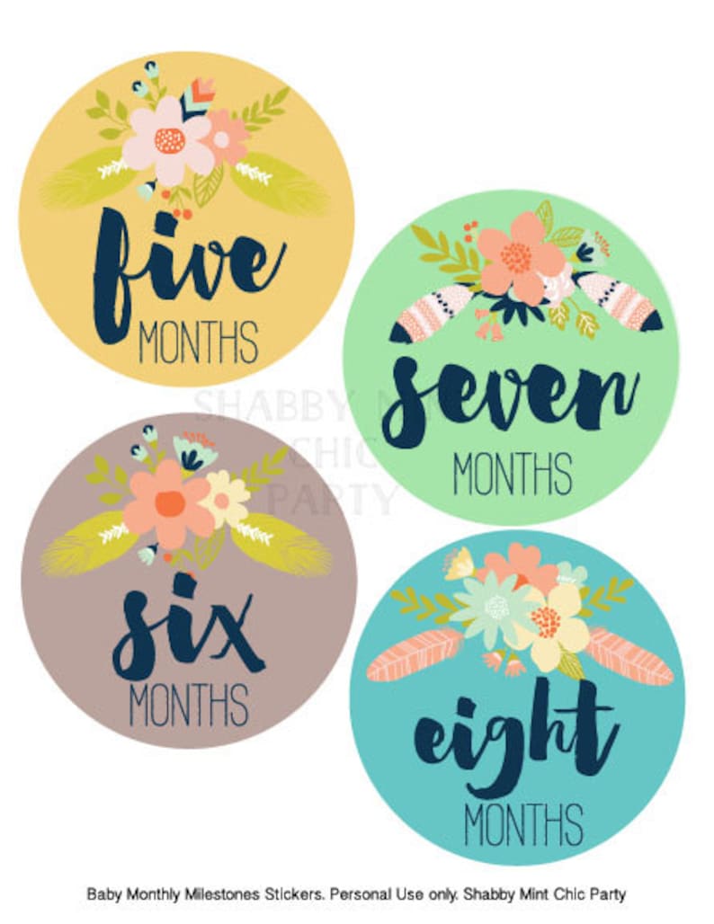 PRINTABLE Baby Monthly Stickers.floral Baby Stickers. Baby Girl ...
