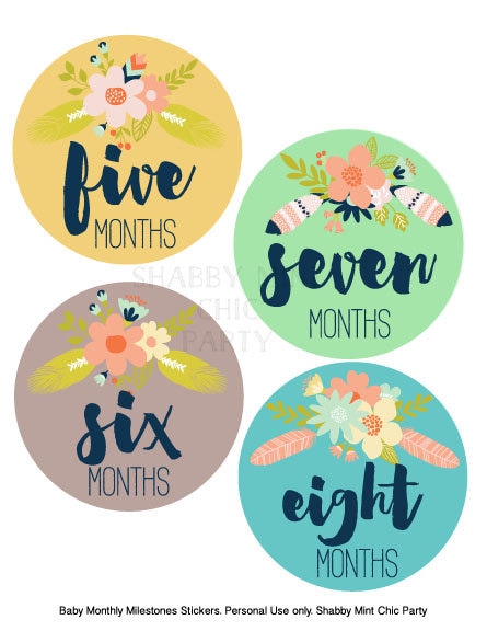 PRINTABLE Baby Monthly Stickers.floral Baby Stickers. Baby Girl ...