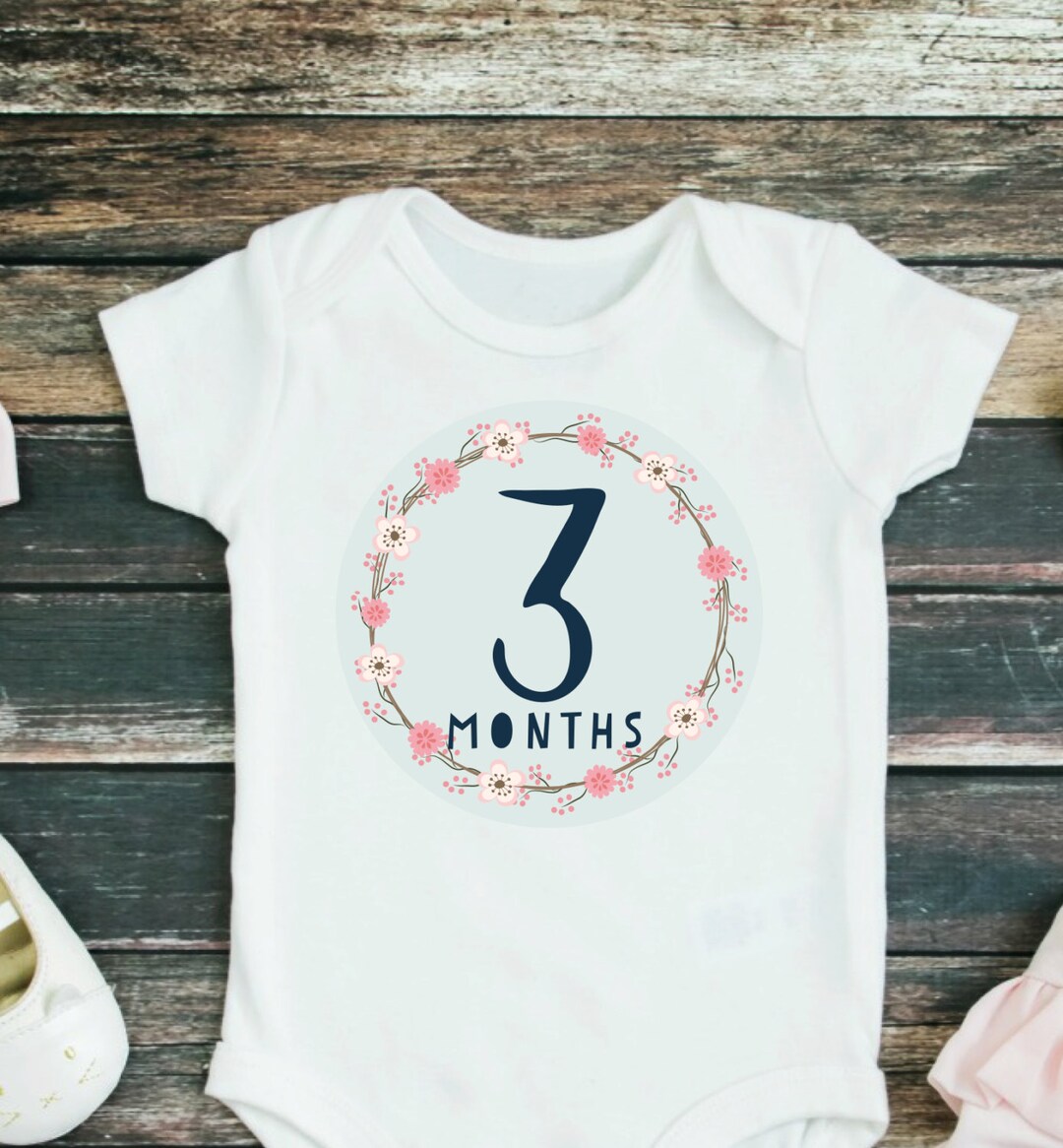 PRINTABLE Baby Monthly Milestone Sticker. Baby Gift. Monthly Baby ...