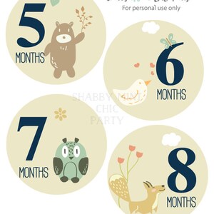 PRINTABLE Baby Monthly Stickers. Iron-on Transfer. Animal Monthly ...