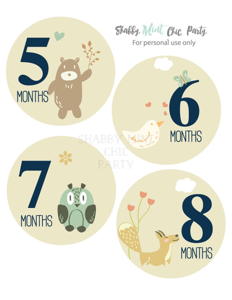 PRINTABLE Baby Monthly stickers. Iron-On Transfer. Animal | Etsy