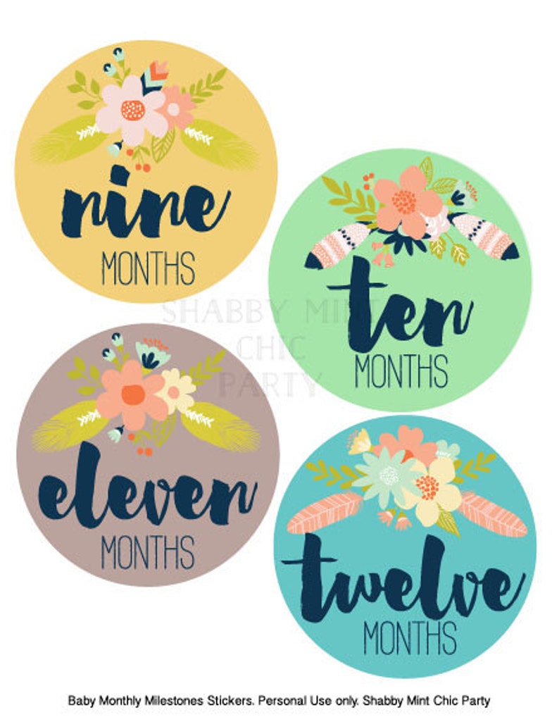 PRINTABLE Baby Monthly Stickers.floral Baby Stickers. Baby Girl ...