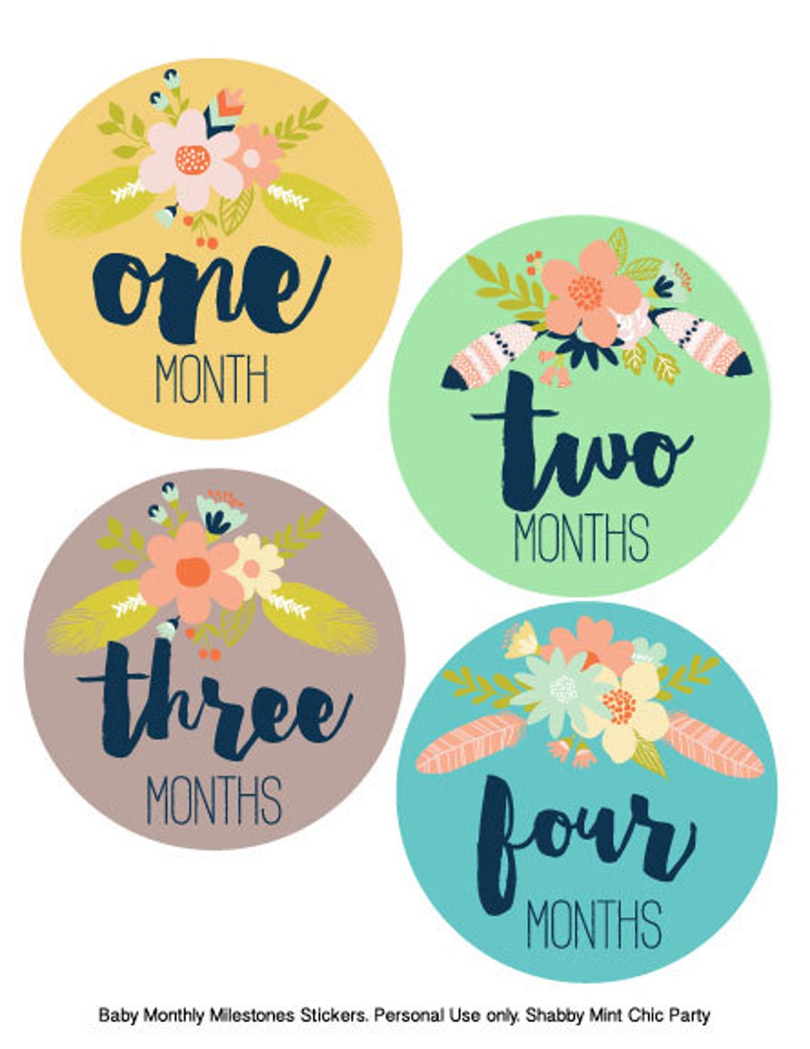PRINTABLE Baby Monthly Stickers.floral Baby Stickers. Baby Girl ...