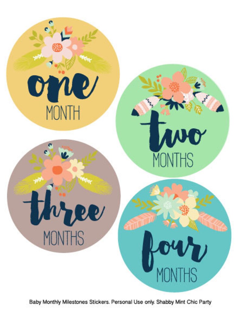 PRINTABLE Baby Monthly Stickers.floral Baby Stickers. Baby Girl ...