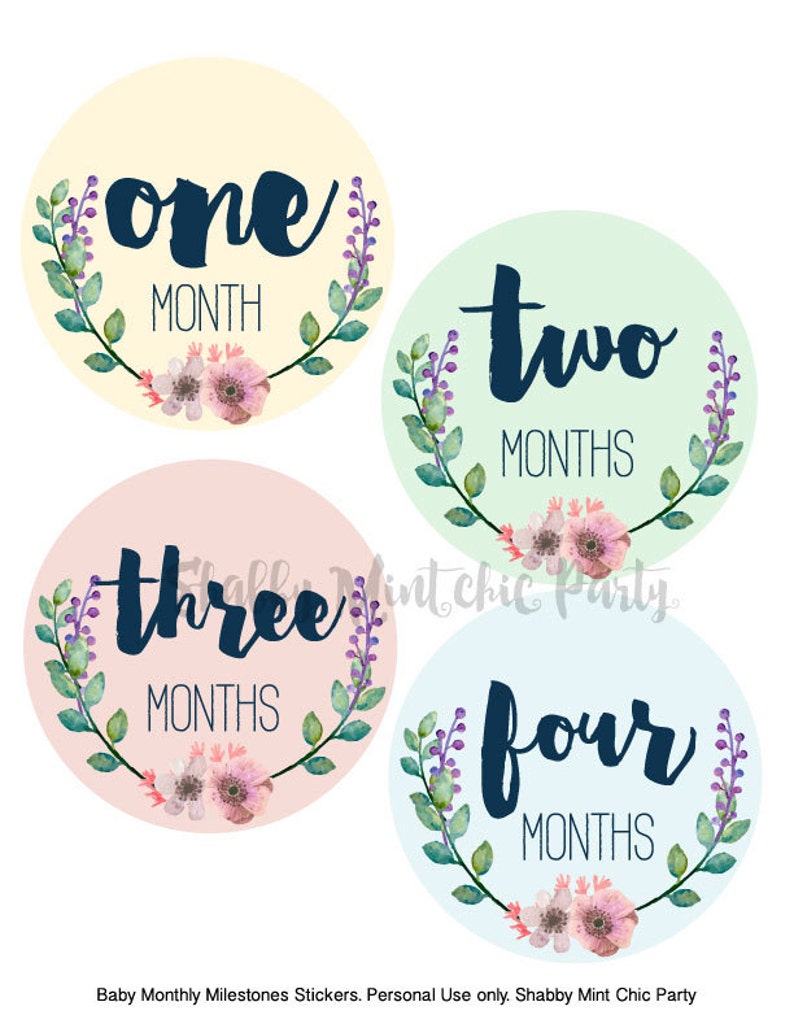 PRINTABLE Baby Monthly Stickers. Monthly Milestone Stickers. Baby ...