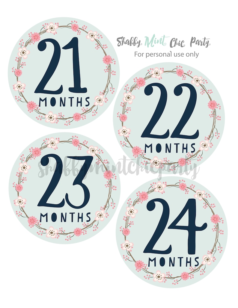 Printable.baby Monthly Milestones.months 13-24. Baby Milestone Stickers ...