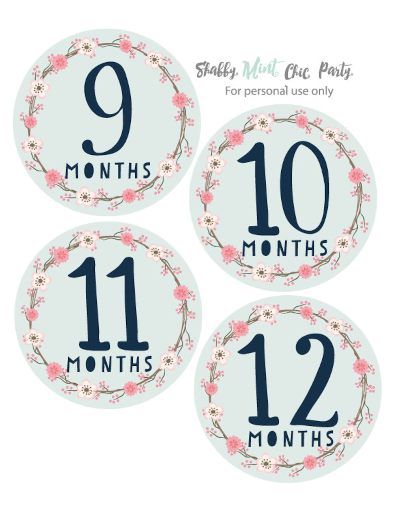 PRINTABLE Baby Monthly Milestone Sticker. Baby Gift. Monthly - Etsy