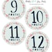 PRINTABLE Baby Monthly Milestone Sticker. Baby Gift. Monthly - Etsy