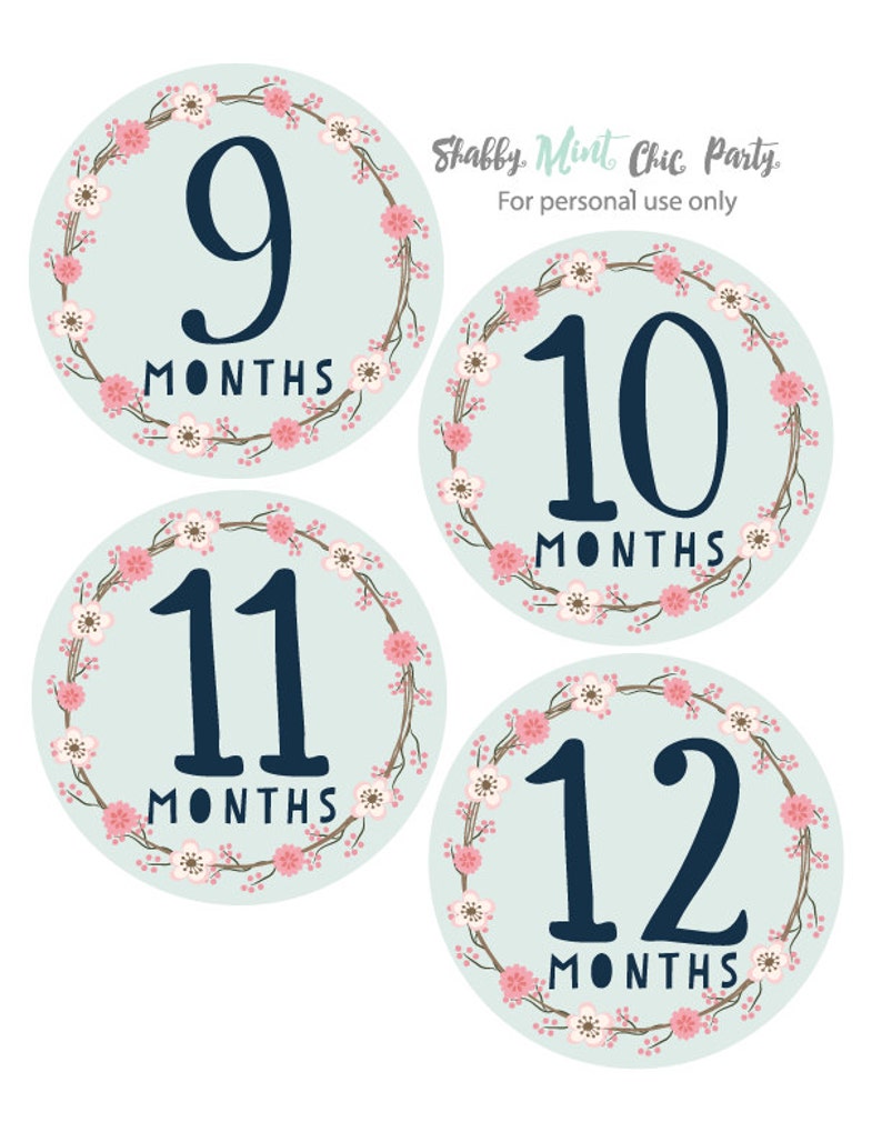 PRINTABLE Baby Monthly Milestone Sticker. Baby Gift. Monthly - Etsy