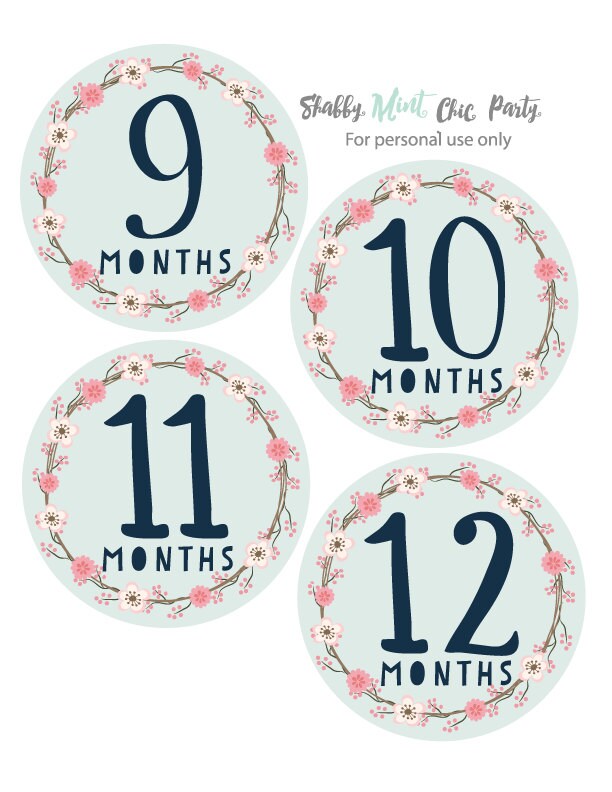 PRINTABLE Baby Monthly Milestone Sticker. Baby Gift. Monthly - Etsy