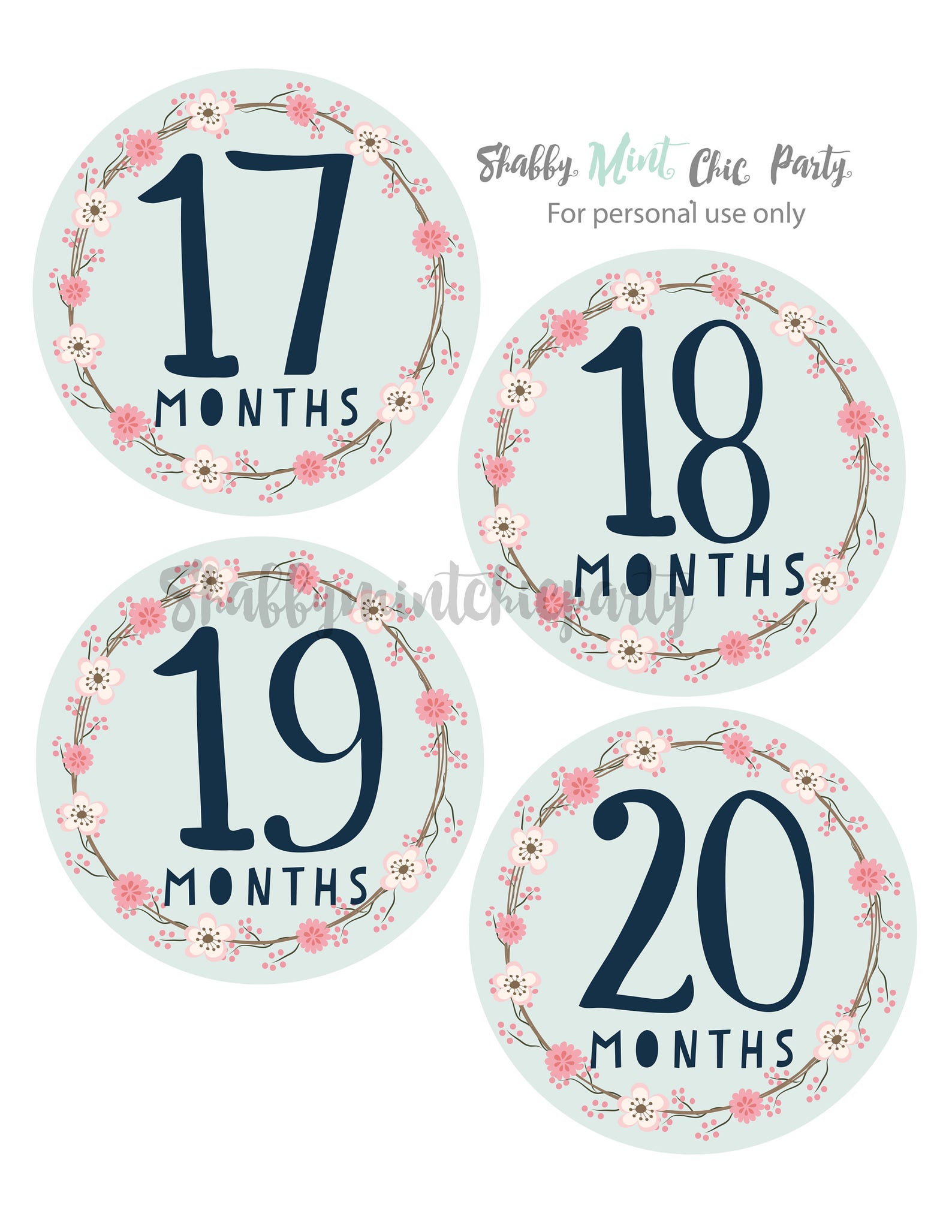 Printable.baby Monthly Milestones.months 13-24. Baby Milestone Stickers ...