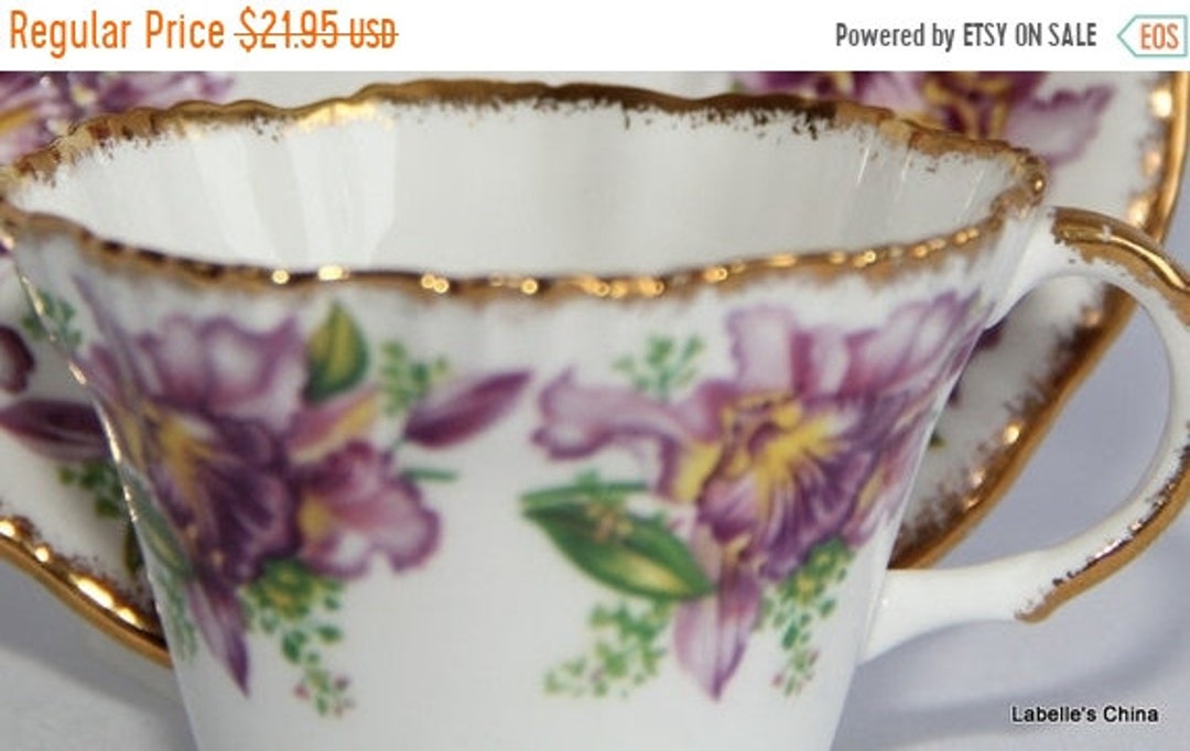 Salisbury Garland English Bone China Tea Cup and Saucer Duo, Brushed ...