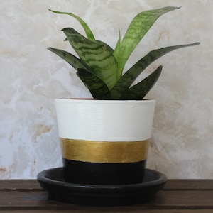 The Pearl Painted Flower Pot - Mother Nature Collection -white, Gold ...