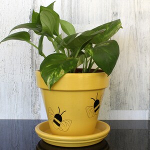 Painted Bee Planter Cute Indoor Plant Pot Potsetc - Etsy UK