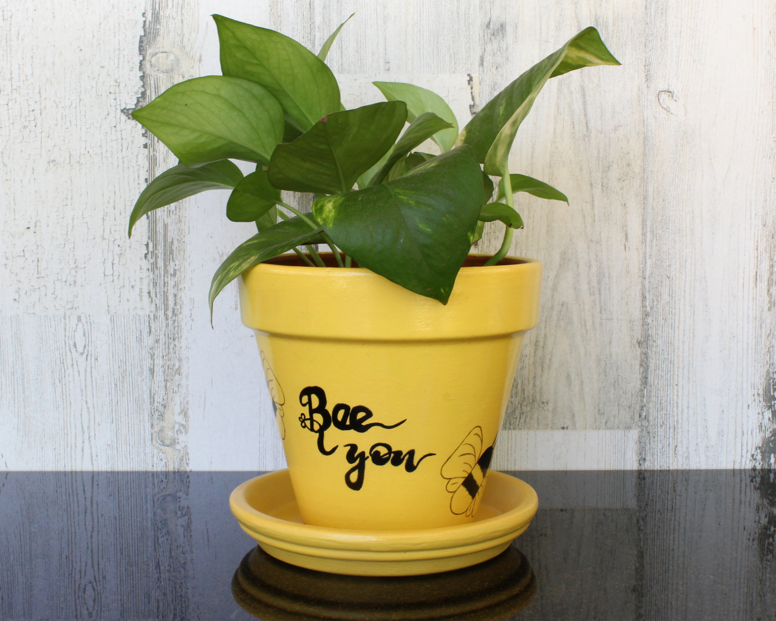 Painted Spring Bee Buzz Yellow Flower Pot 6 Inch Bee You Planter Etsy UK