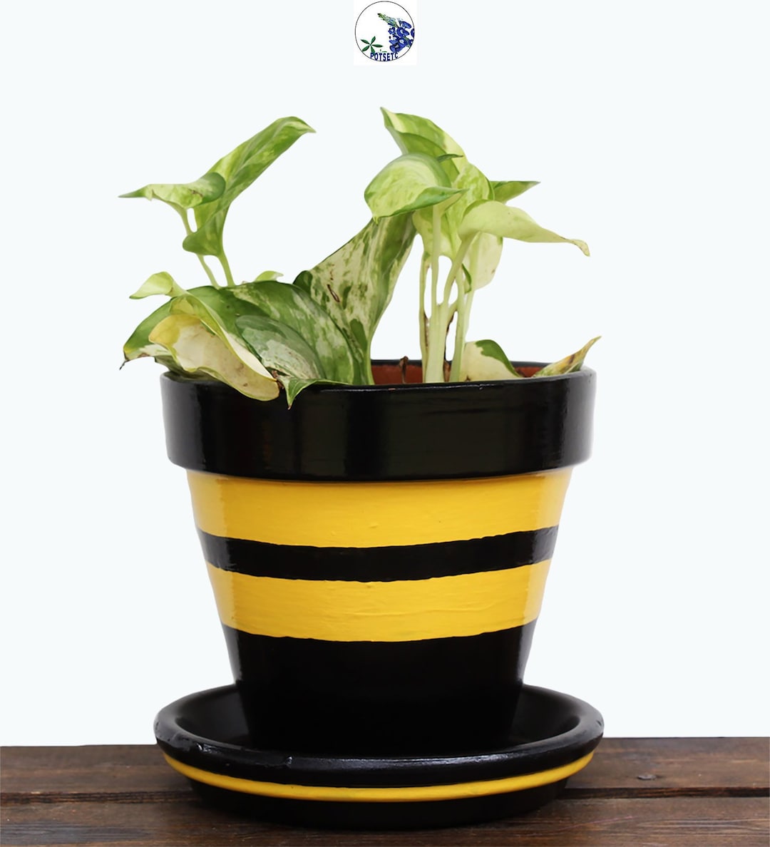 Yellow Stripe Painted Flower Pot - Black and Yellow Modern Plant Pot ...