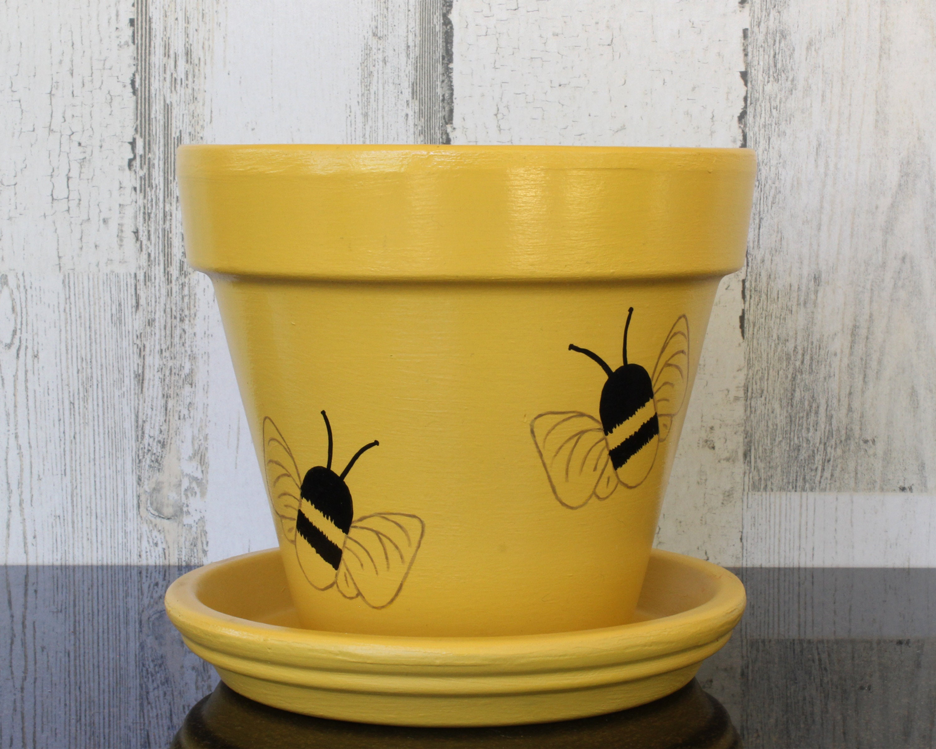 Painted Bee Planter Cute Indoor Plant Pot Potsetc - Etsy UK