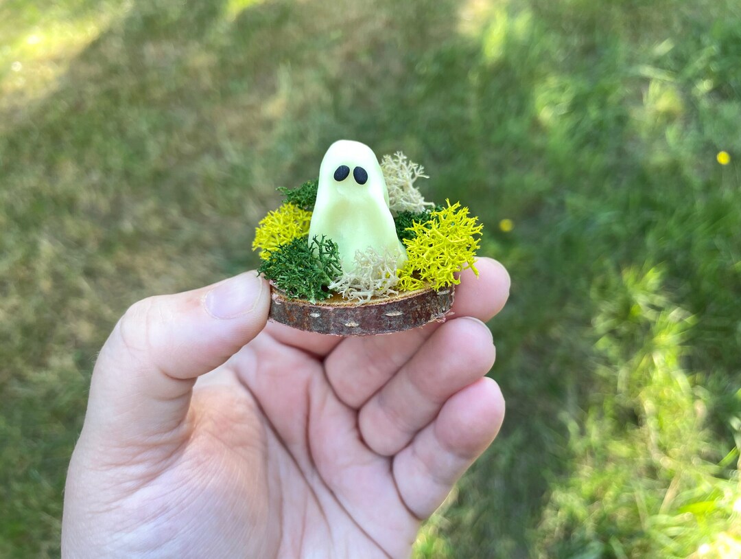 Pet Ghost on a Log - Adopt A Ghost | Glow in the Dark Pet Ghost ...