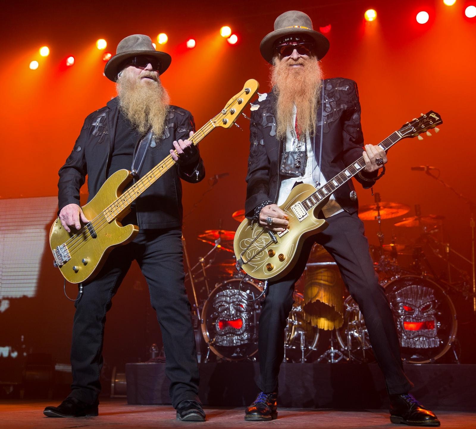 Zz Top Beard for sale | Only 2 left at -60%