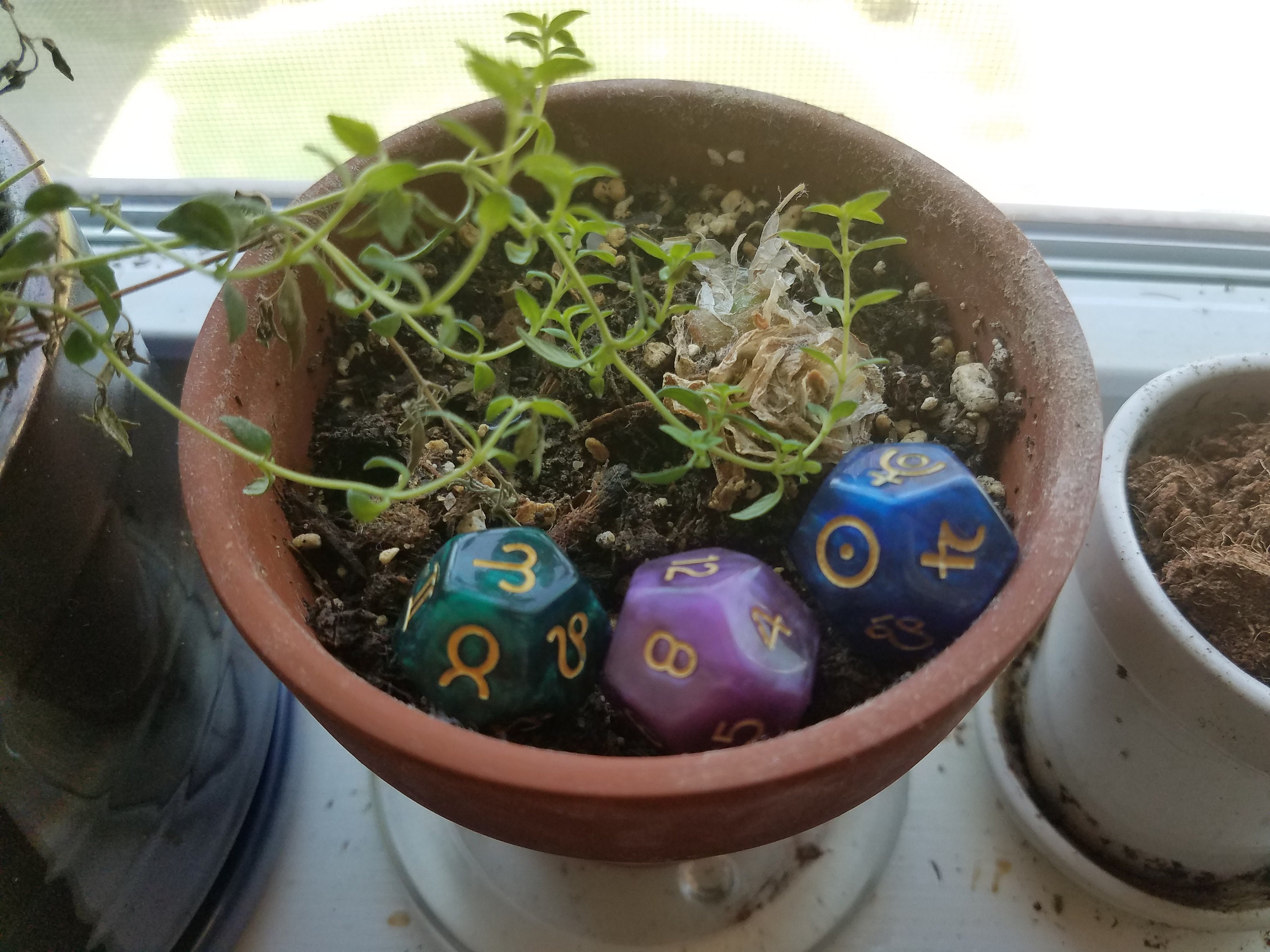 Astrology Dice Prediction - Timing or Energy of a Situation - Etsy