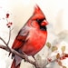 Northern Cardinal | Cardinal Bird Art Print | Watercolor Bird Print ...