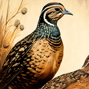 Game Bird Art | Game Bird Prints | Bird Hunting Art | Hunting Gifts ...