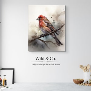 House Finch Watercolor Painting | Vintage Bird Art Print (digital ...