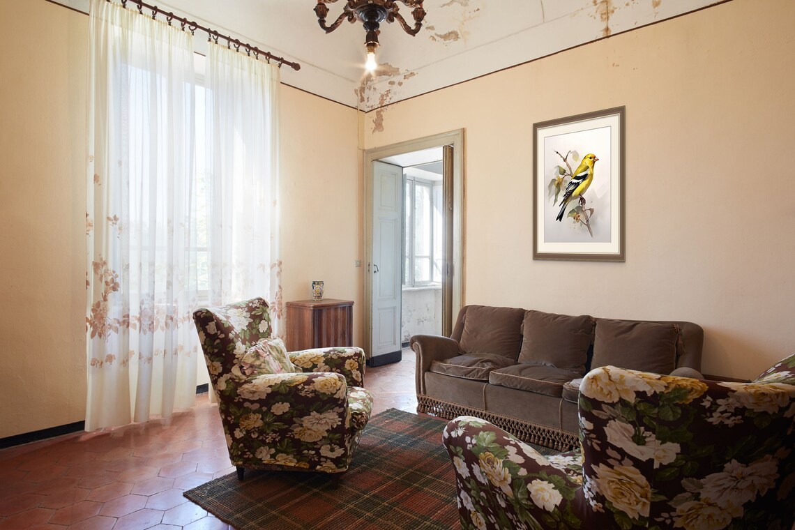 Watercolor Bird Art Print Watercolor Digital Print Avian Art Decor ...