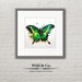 Gyotaku Butterfly Print, Contemporary Insect Art (digital Download) - Etsy