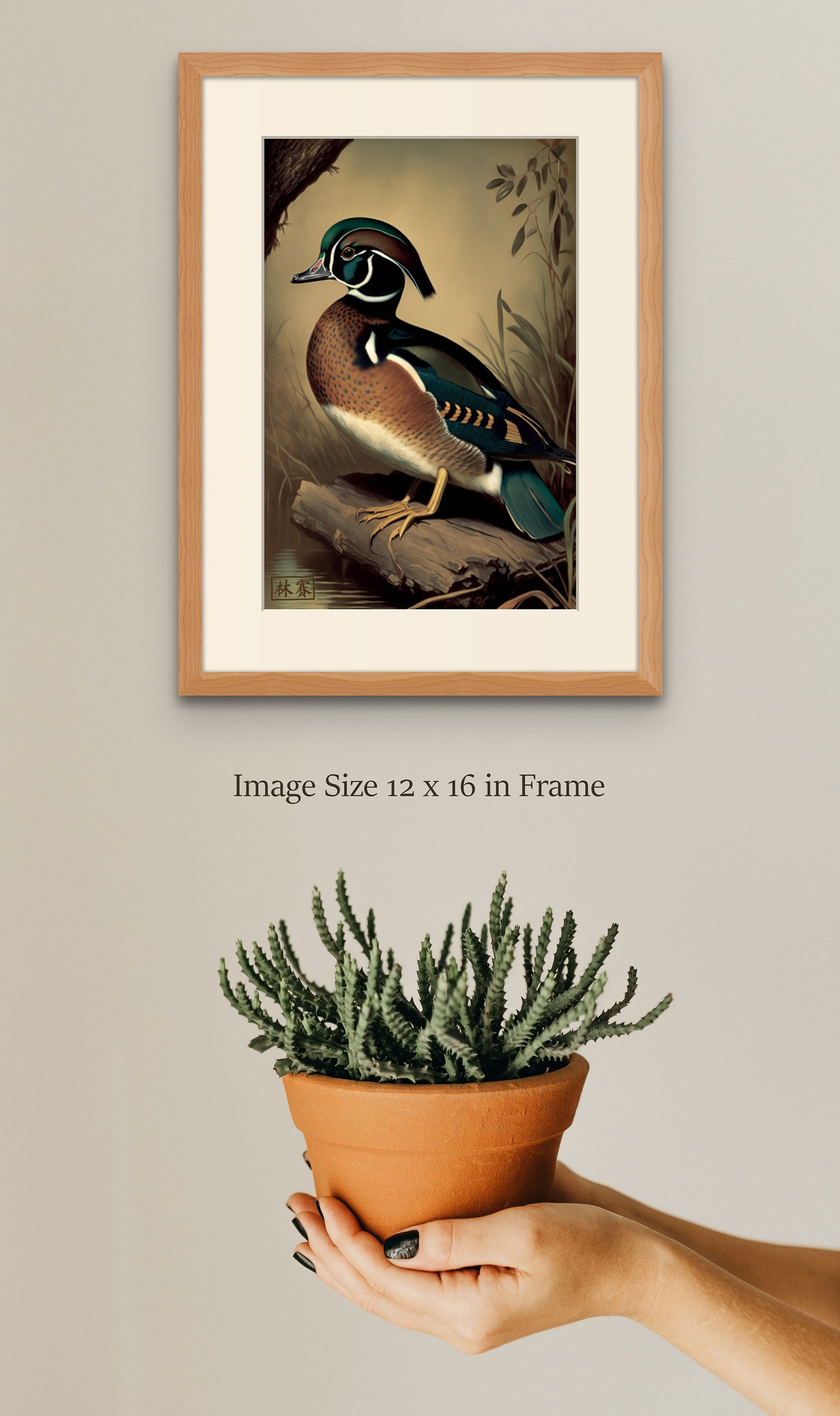 Vintage Wood Duck Art Print | Audubon Style Waterfowl Poster (digital ...