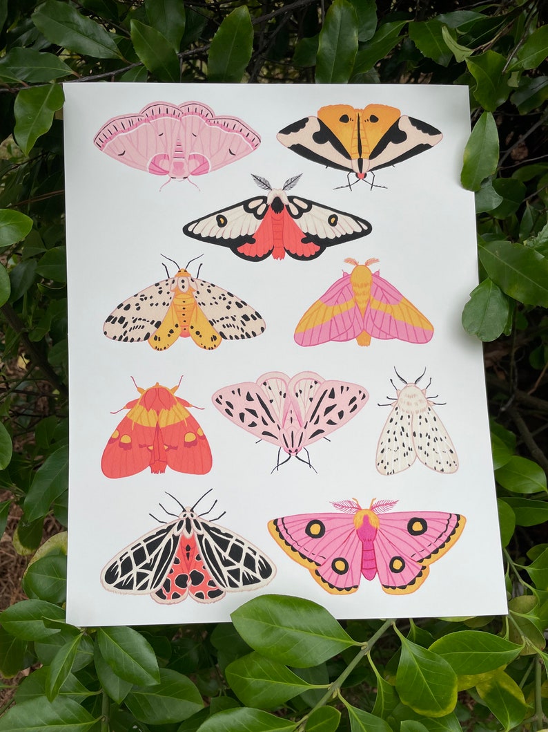 Moth Party Colorful Gouache Giclee Art Print Room Decor - Etsy