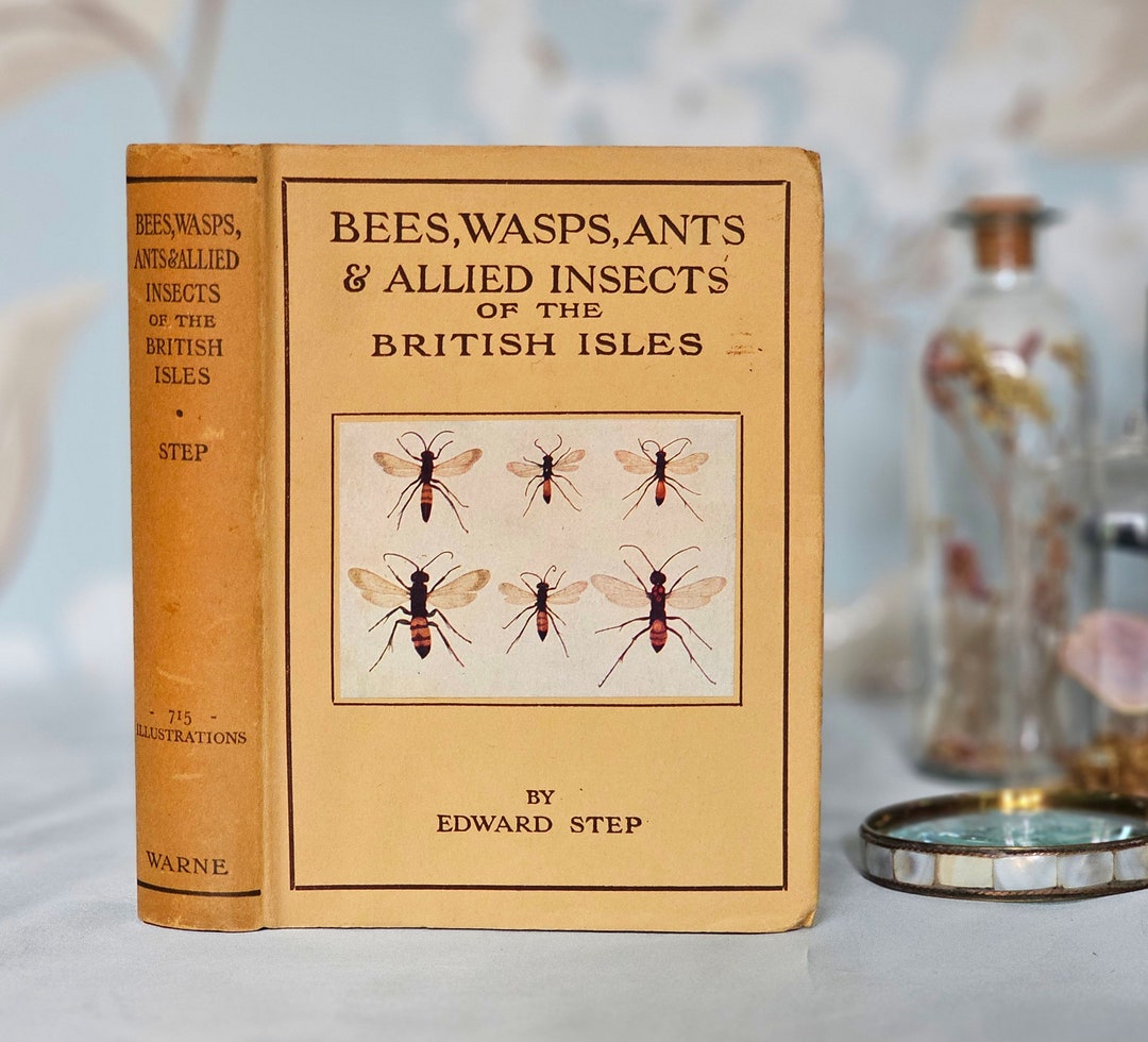 1932 Bees, Wasps, Ants and Allied Insects of the British Isles by ...