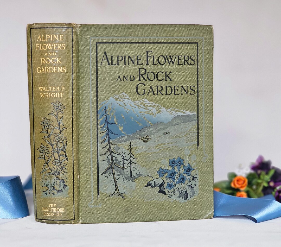 1911 Alpine Flowers and Rock Gardens Illustrated in Colour by Walter ...