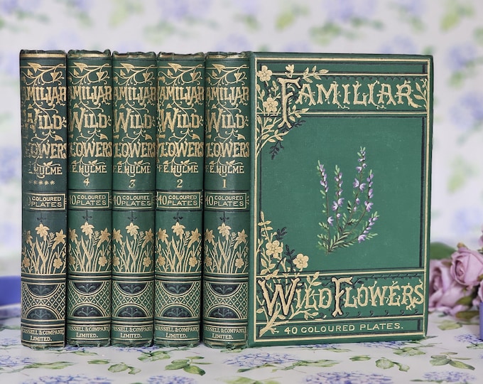 1880s Complete Set in Five Volumes of Familiar Wild Flowers by Edward ...