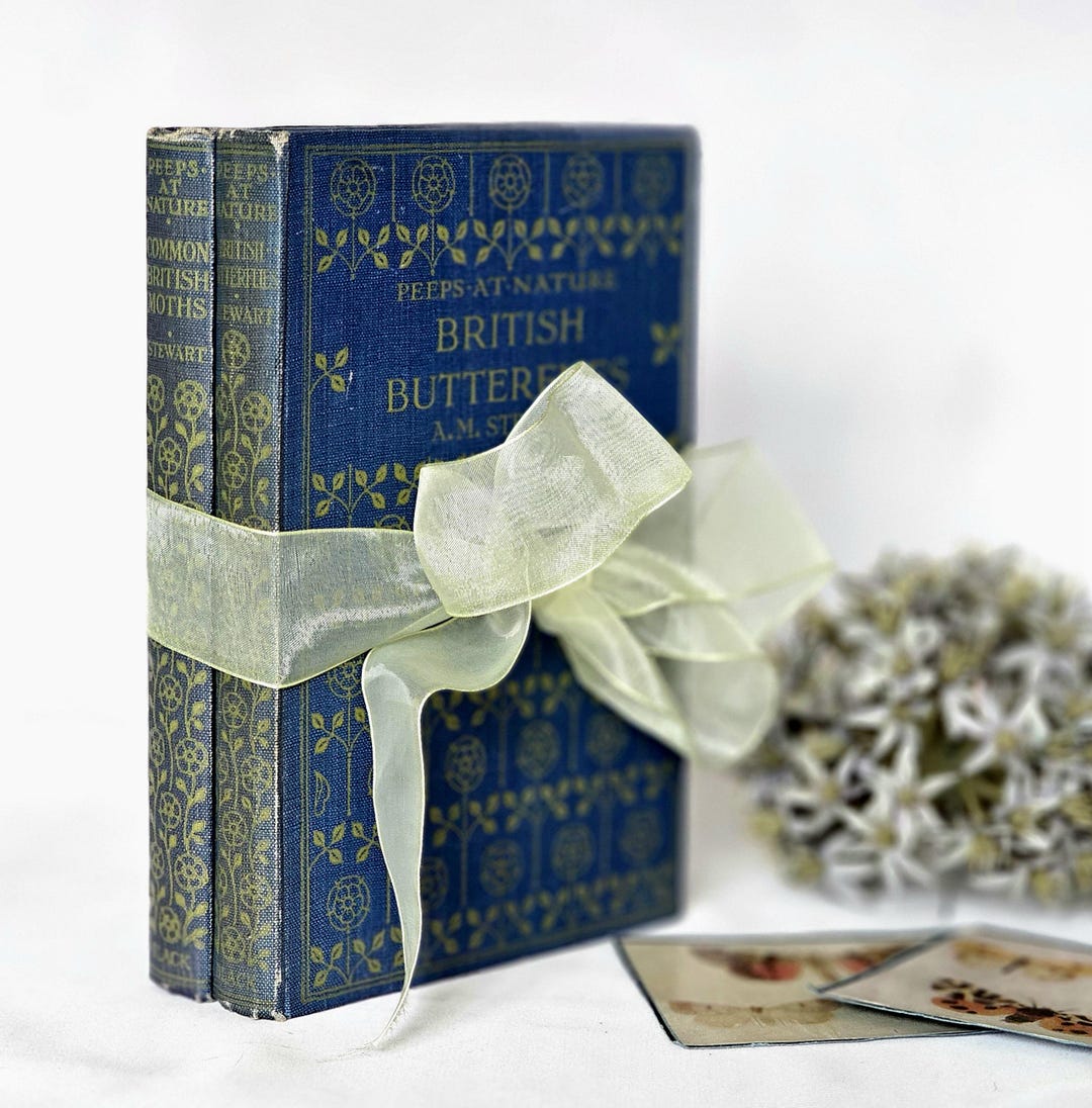 1926/1930 Peeps at Nature Books: British Butterflies & Moths - Etsy